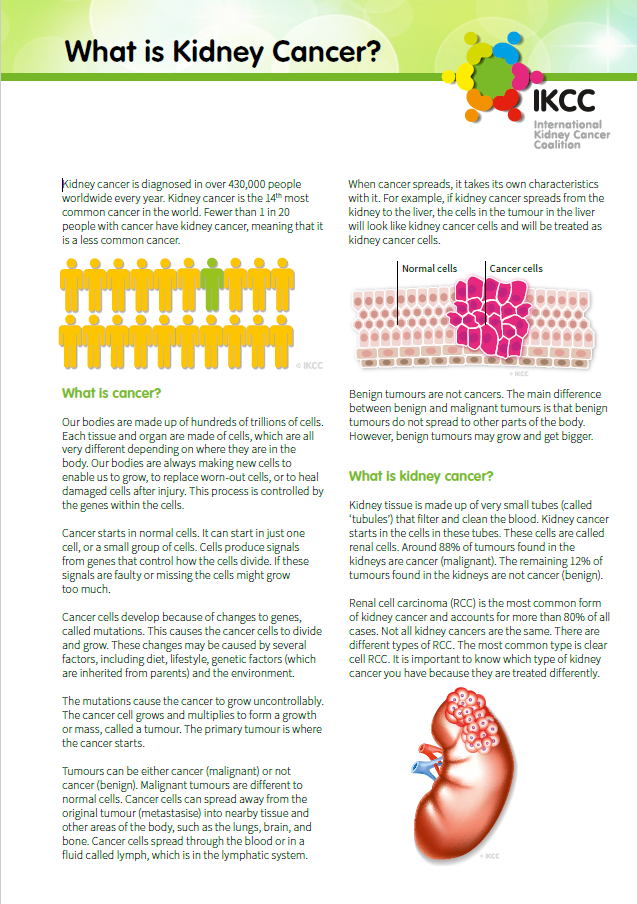 Kidney Cancer Factsheets for download - IKCC - International Kidney ...